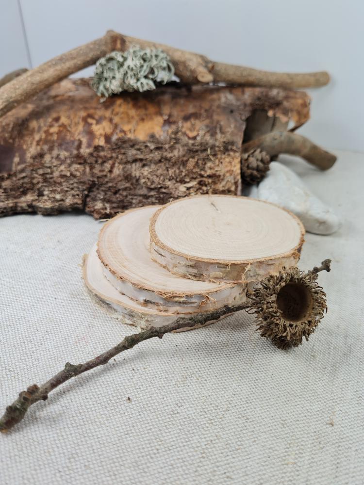 Drevený rez s kôrou, breza priemer 7-8cm | U Mirky | Kreatívne potreby